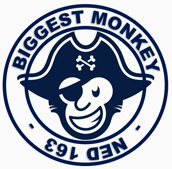 BIGGEST MONKEY NED 163 - Building Blog NED 163